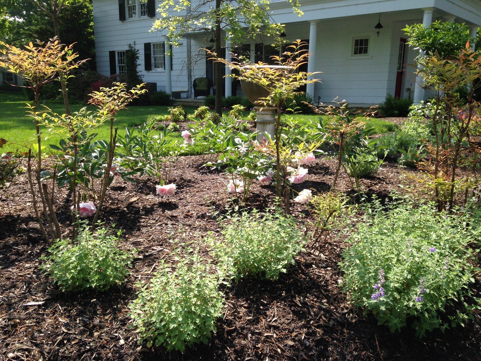 Donovan Landcare - Landscaping